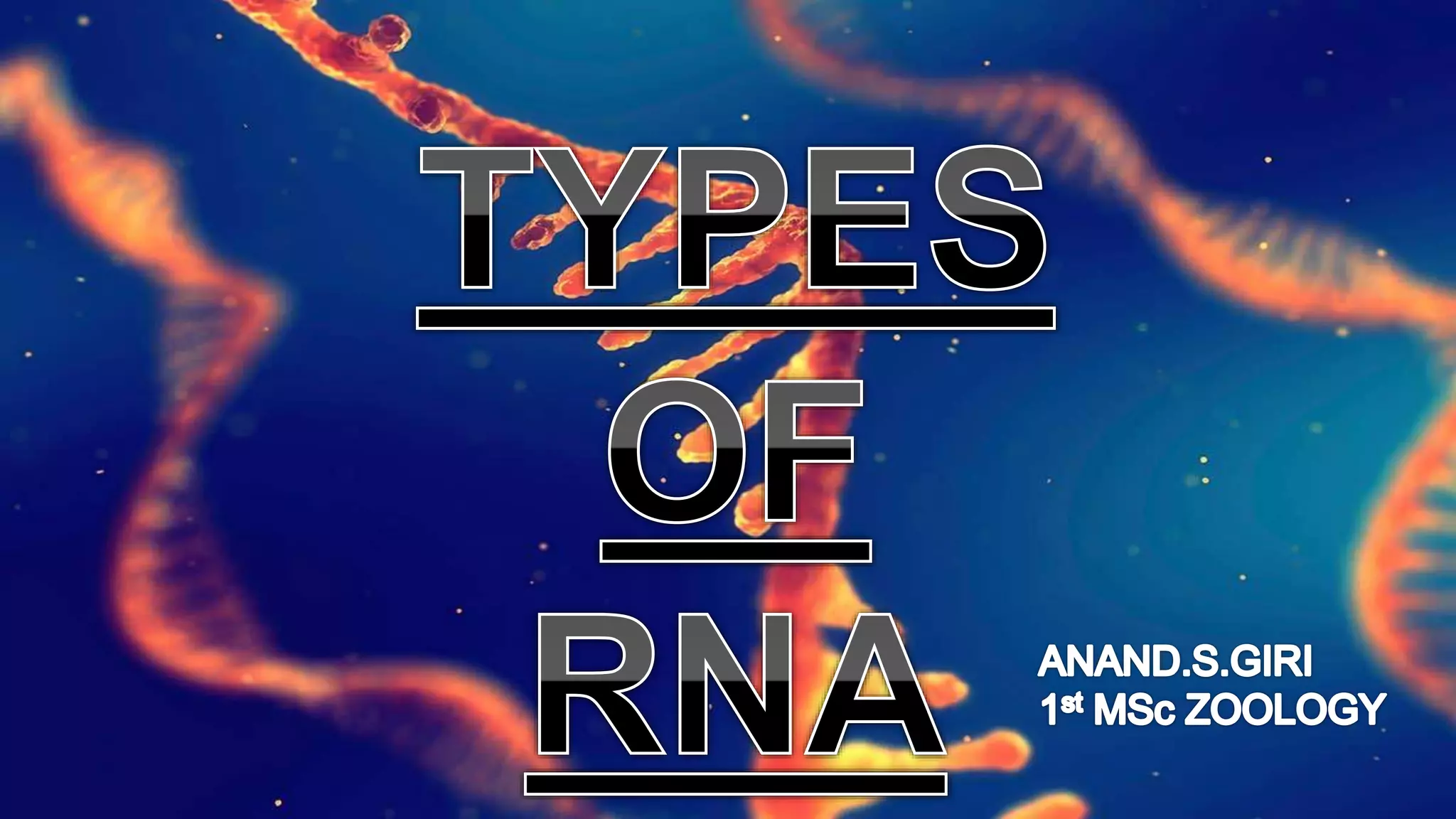 TYPES OF RNA.pptx