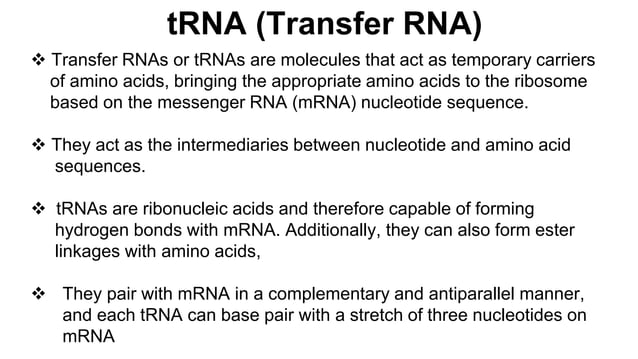 TYPES OF RNA.pptx