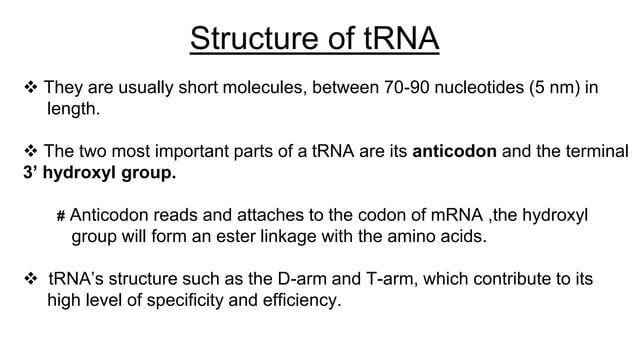 TYPES OF RNA.pptx