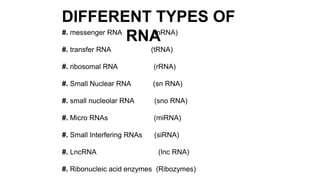 TYPES OF RNA.pptx