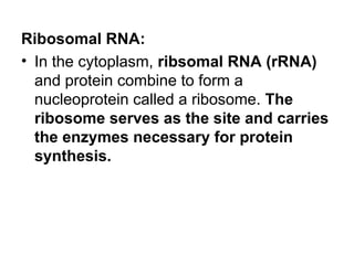 Types of RIbonucleaic Acid-Types of RNA.ppt