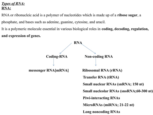 Types of RNA , structure and its functions.pptx