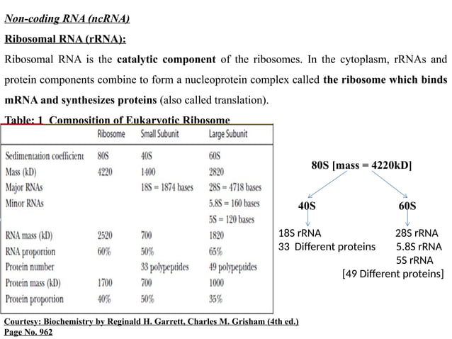 Types of RNA , structure and its functions.pptx