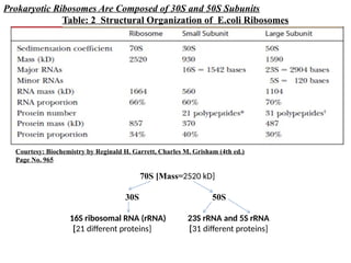 Types of RNA , structure and its functions.pptx