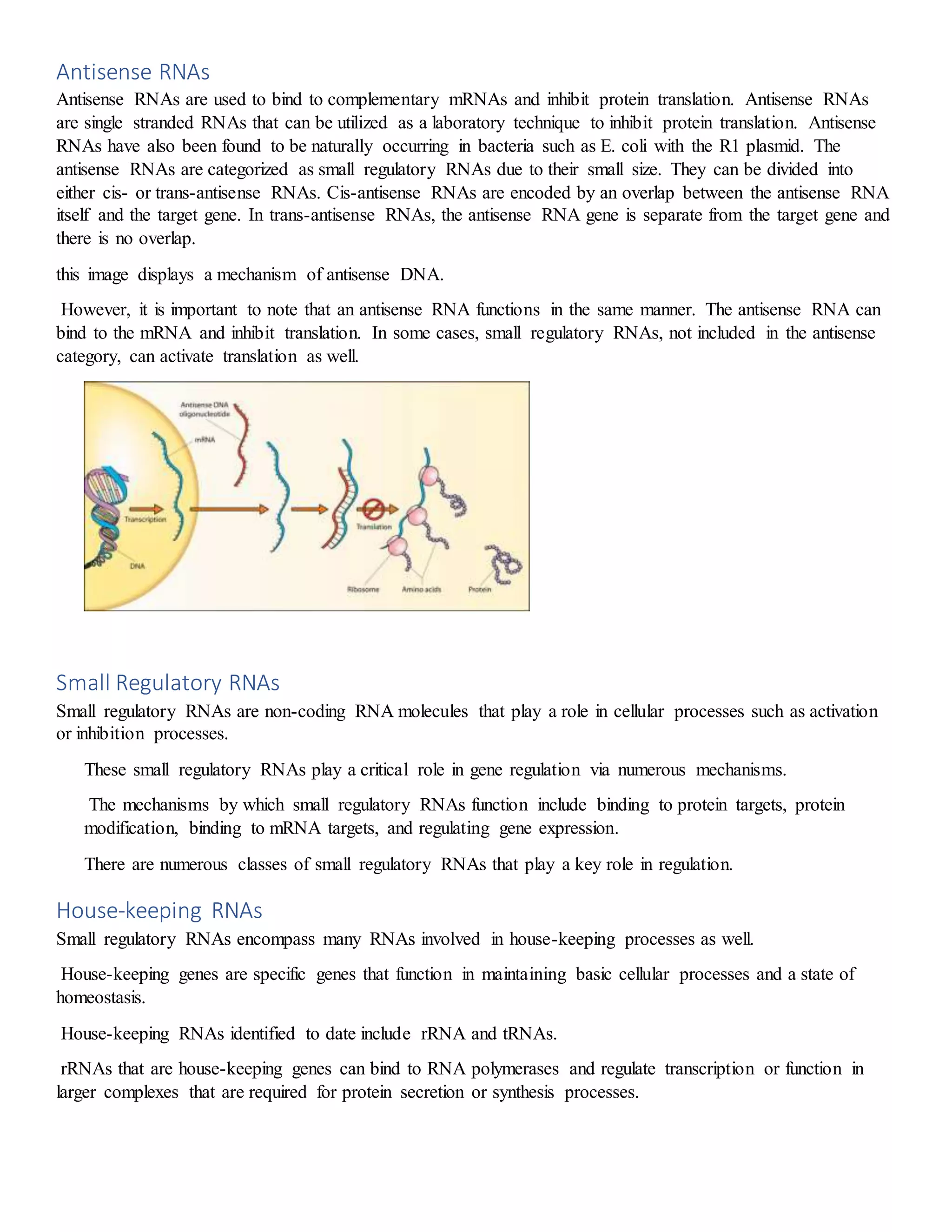 Types of RNA and their functions | DOCX
