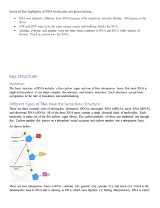 Types of RNA and their functions | DOCX