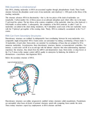 Types of RNA and their functions | DOCX