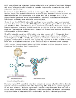 Types of RNA and their functions | DOCX