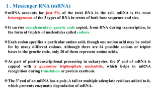 Types of RNA and Translation (Protein synthesis) | PDF