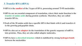 Types of RNA and Translation (Protein synthesis) | PDF