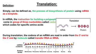 Types of RNA and Translation (Protein synthesis) | PDF