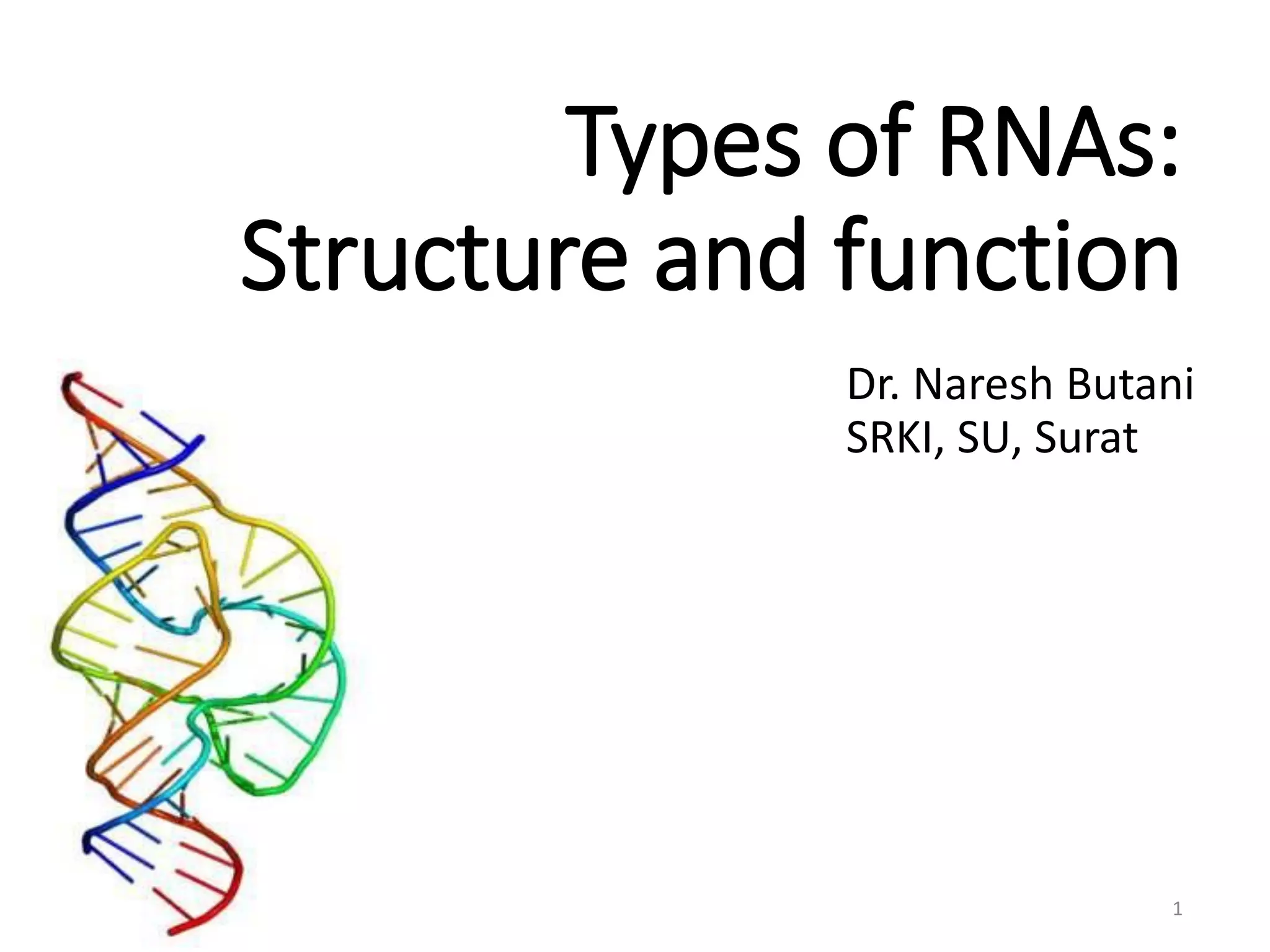 Types of RNAs.pdf