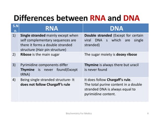 Types of RNAs.pdf