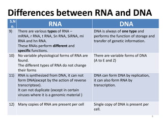 Types of RNAs.pdf