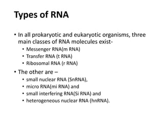 Types of RNAs.pdf