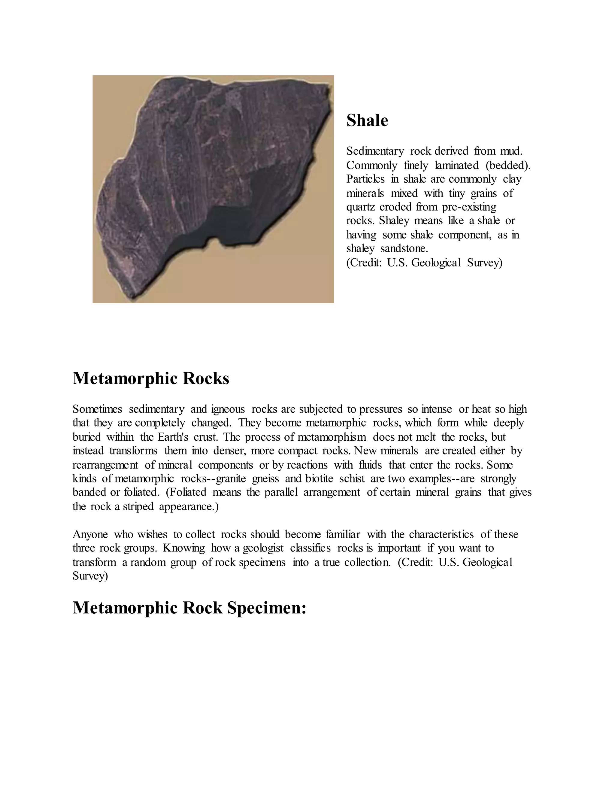 Types of rocks | DOCX