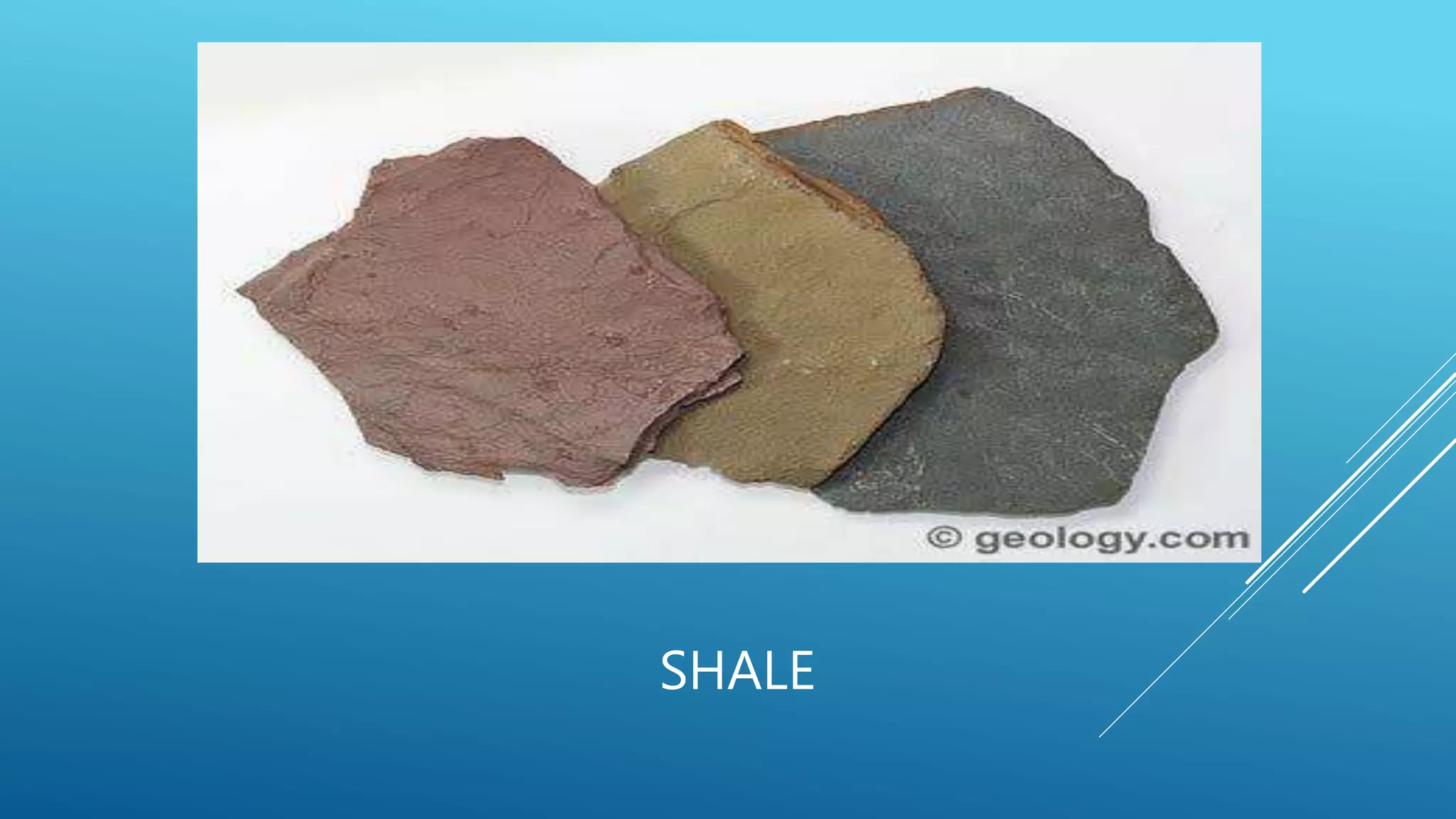 Types of rocks.pptx | Geology | Science