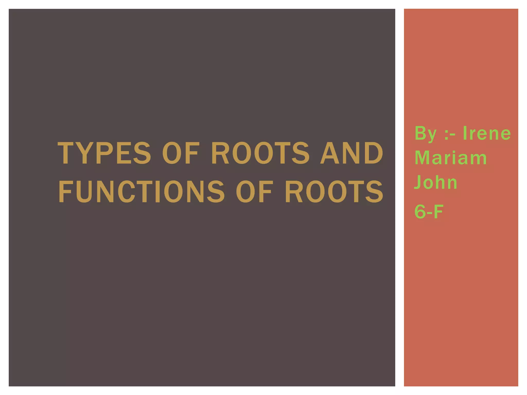 Types of roots | PPTX