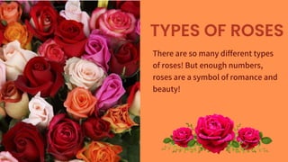 Types of Roses | PPT