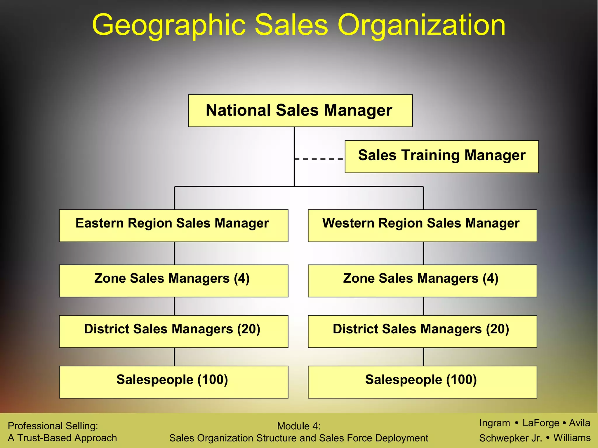 Types of sales organisation structure | PPT