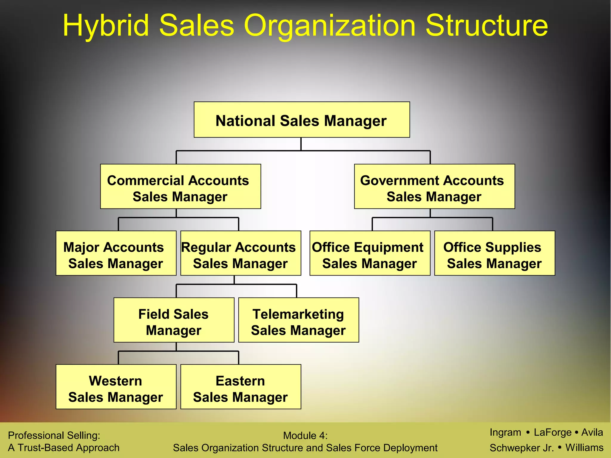 Types of sales organisation structure | PPT
