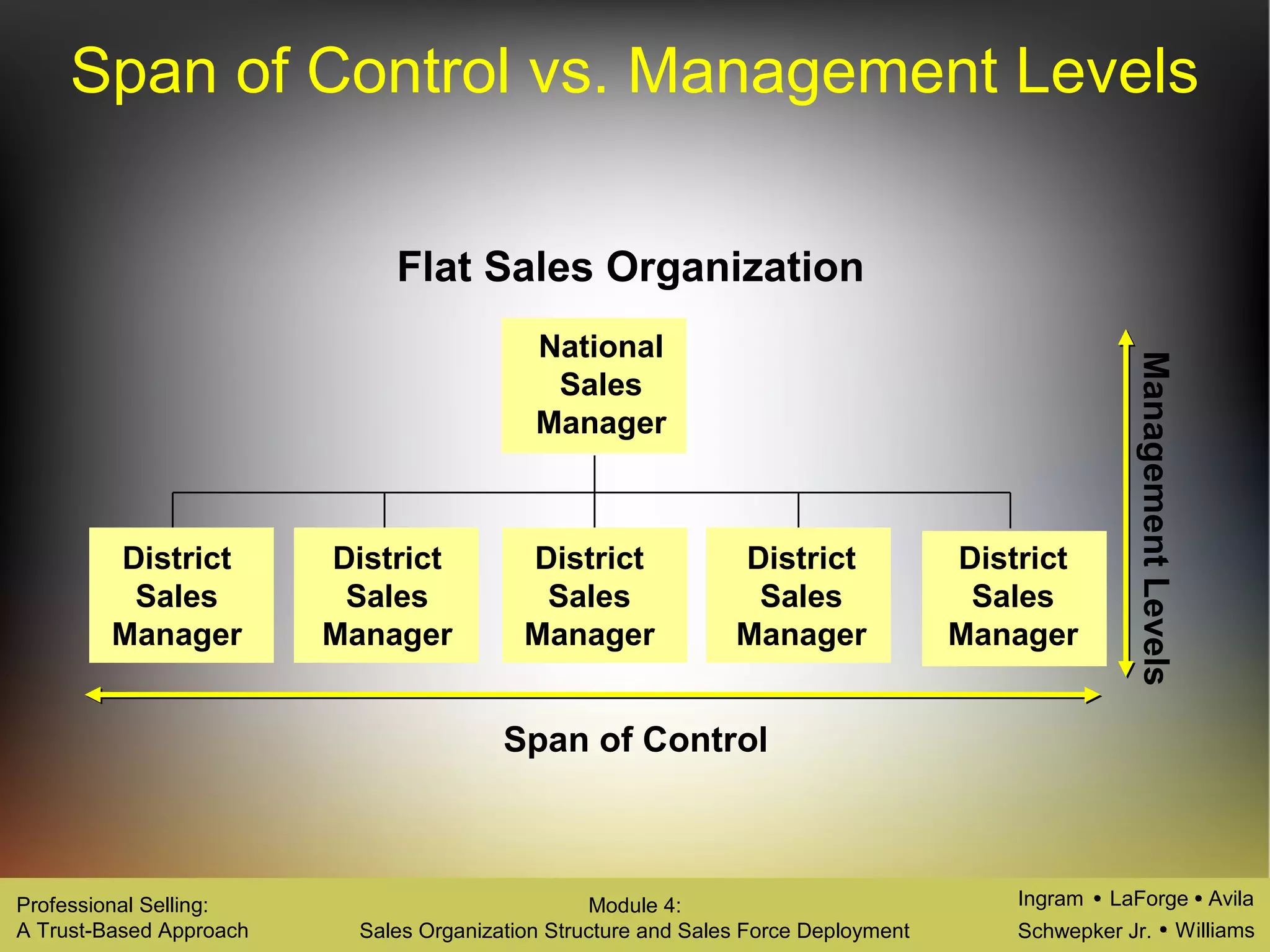 Types of sales organisation structure | PPT