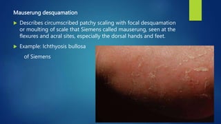 Scaly signs in dermatology. Article discussion | PPTX