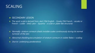 Scaly signs in dermatology. Article discussion | PPTX