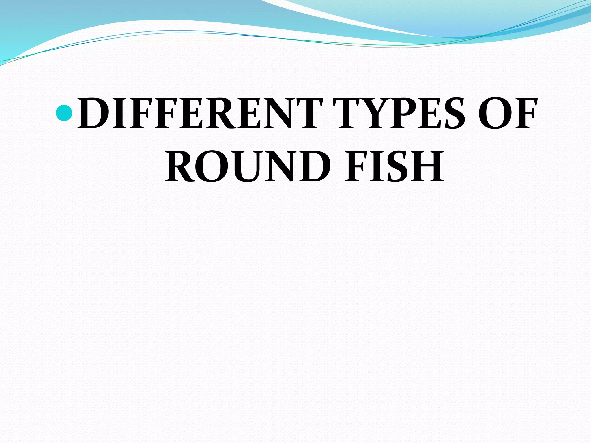 Types of seafoods | PPTX