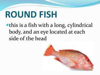 Types of seafoods | PPTX