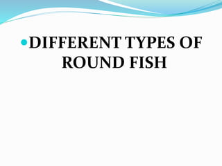 Types of seafoods | PPTX
