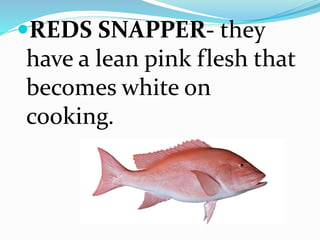 Types of seafoods | PPTX