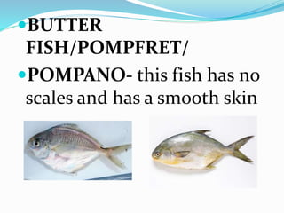 Types of seafoods | PPTX