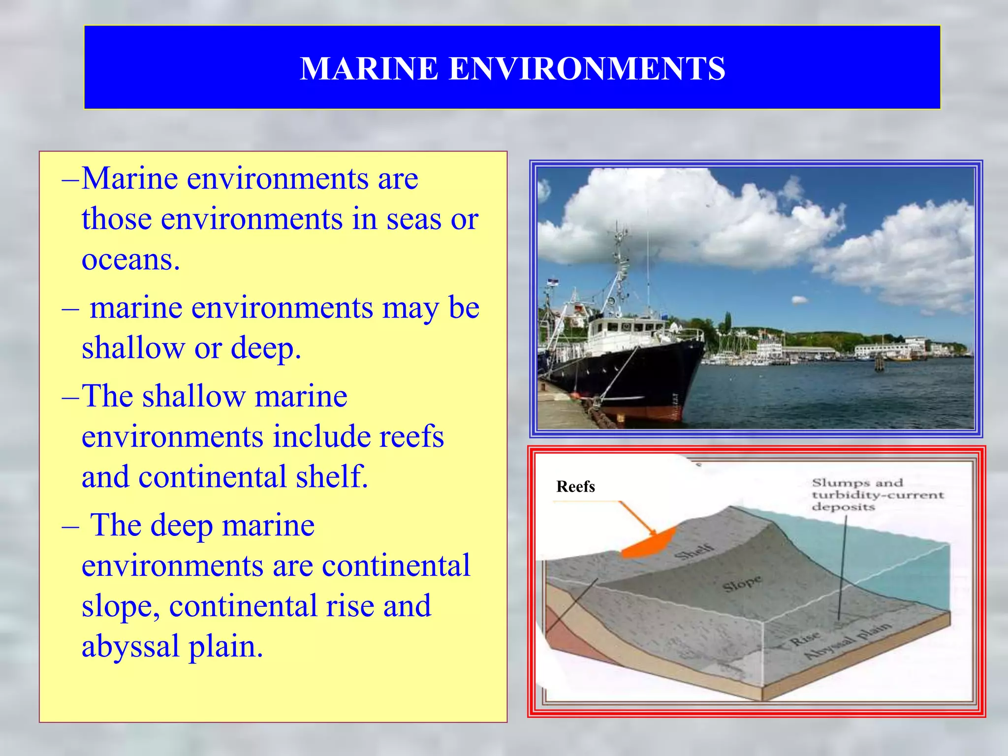 TYPES OF SEDIMENTARY ENVIRONMENTS.ppt