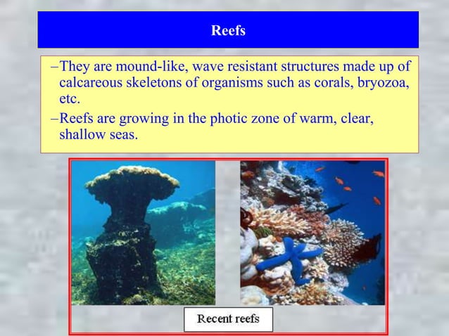 TYPES OF SEDIMENTARY ENVIRONMENTS.ppt | Geography | Science