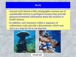 TYPES OF SEDIMENTARY ENVIRONMENTS.ppt
