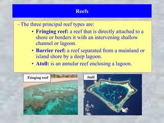 TYPES OF SEDIMENTARY ENVIRONMENTS.ppt