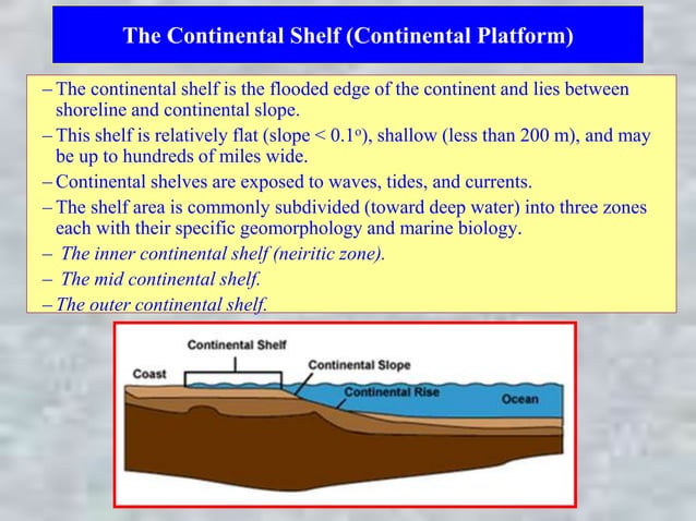 TYPES OF SEDIMENTARY ENVIRONMENTS.ppt | Geography | Science