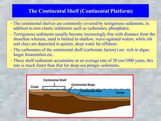 TYPES OF SEDIMENTARY ENVIRONMENTS.ppt