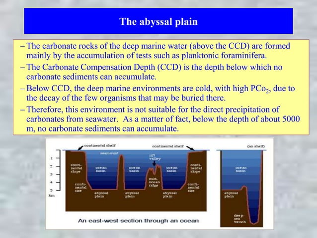 TYPES OF SEDIMENTARY ENVIRONMENTS.ppt | Geography | Science