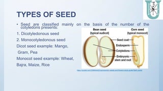 Types of seed and seed dormancy | PPTX