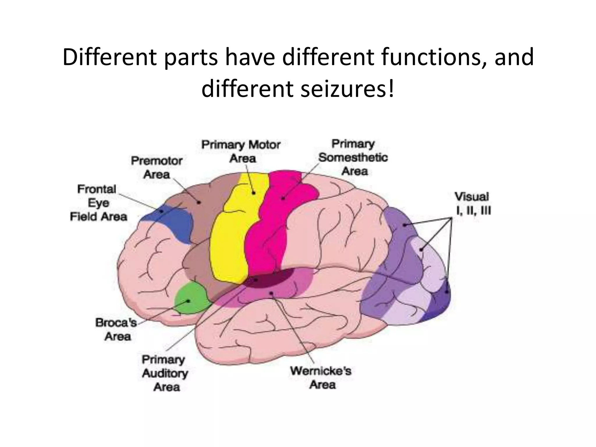 Types of Seizure | PPTX