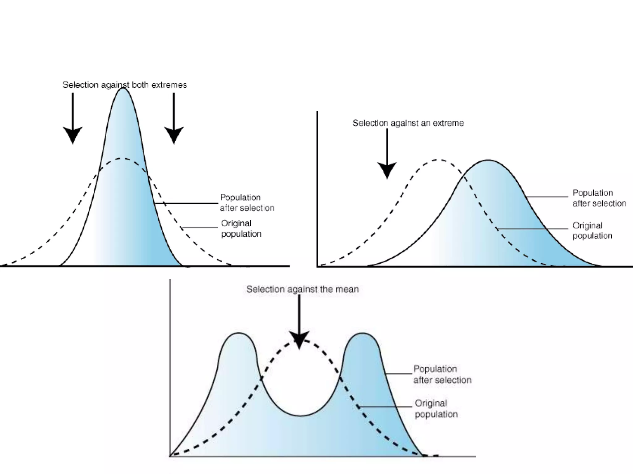 Types of selection | PPTX