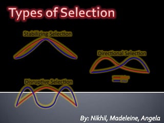 Diversifying Selection