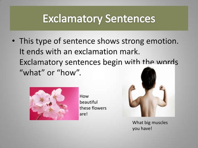 Types Of Sentences Ppt types-of-sentences-ppt