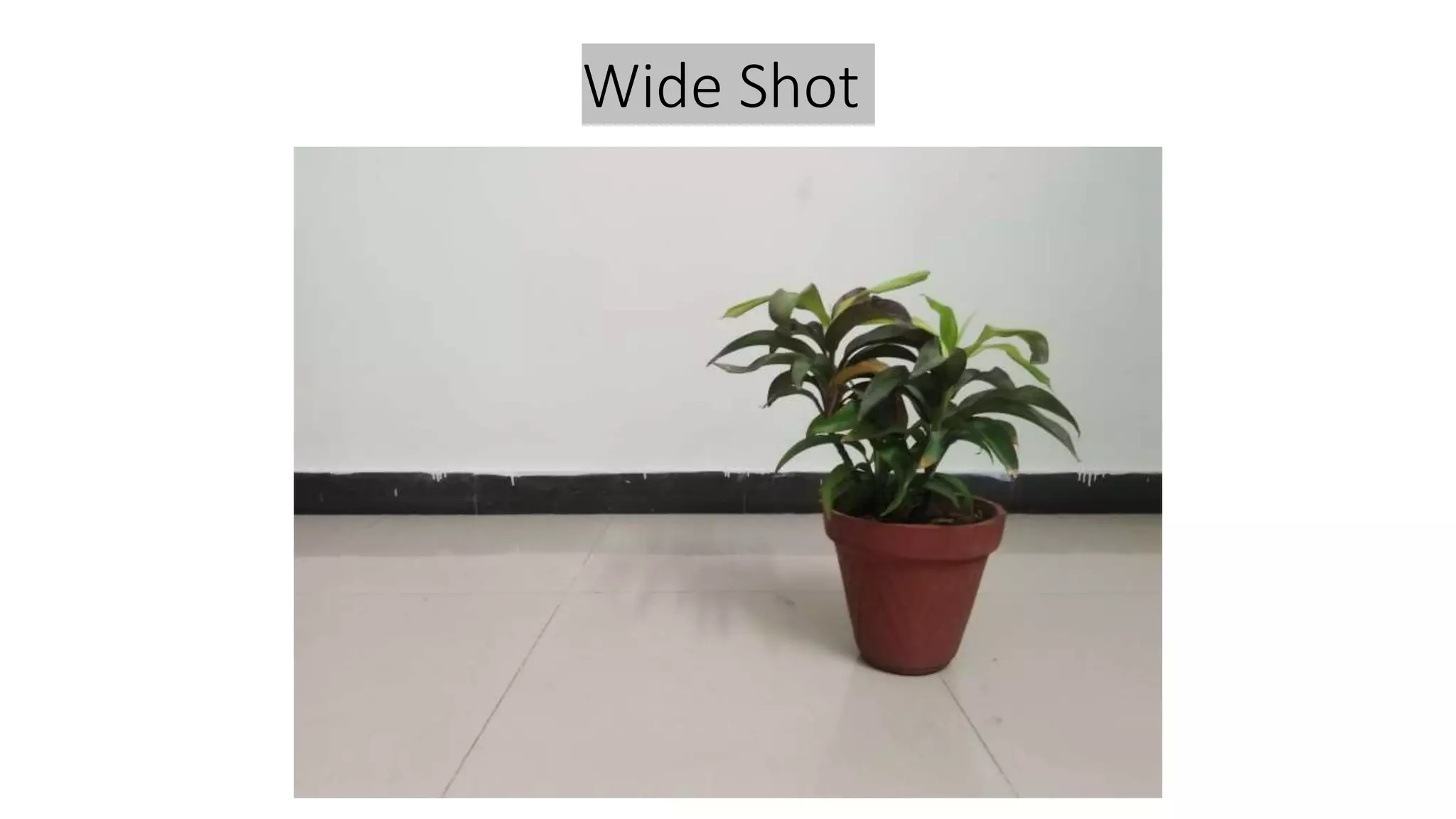 Types of shots | PPTX