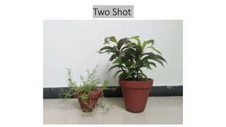 Types of shots | PPT