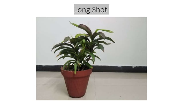 Types of shots | PPTX