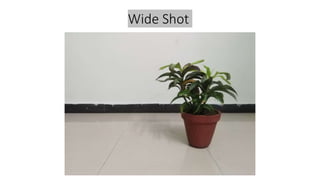 Types of shots | PPTX