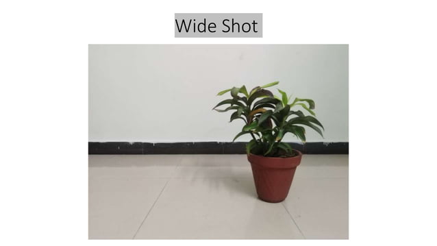 Types of shots | PPTX